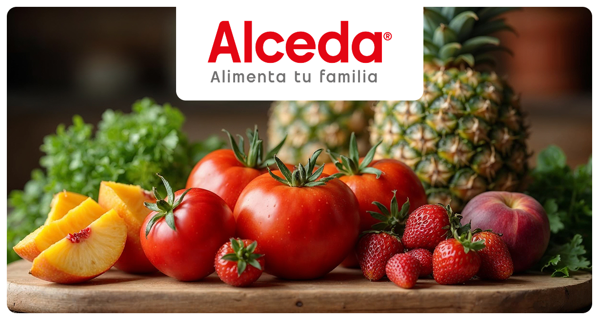 Sobre nosotros – Alceda